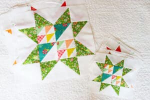 Quilt Block of the Month November 2024 - A Quilting Life